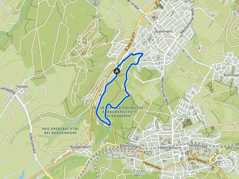EifelSchleife Altusknipp-Weg (Stadt Mechernich) | Wanderung | Komoot